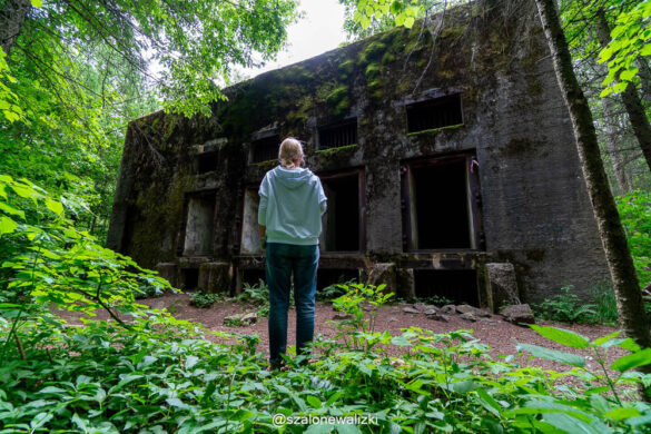 Poznań - atrakcje, które warto zobaczyć w jeden dzień